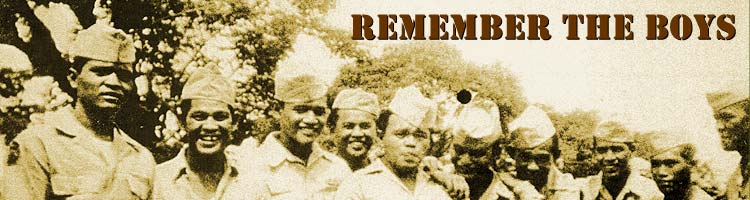 PBS Hawaii - Remember the Boys - Domingo Los Banos and the 1st Filipino ...